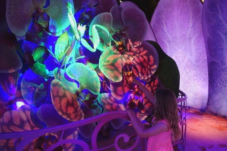 Auckland for Kids visits the Bug Lab exhibition at Auckland Zoo