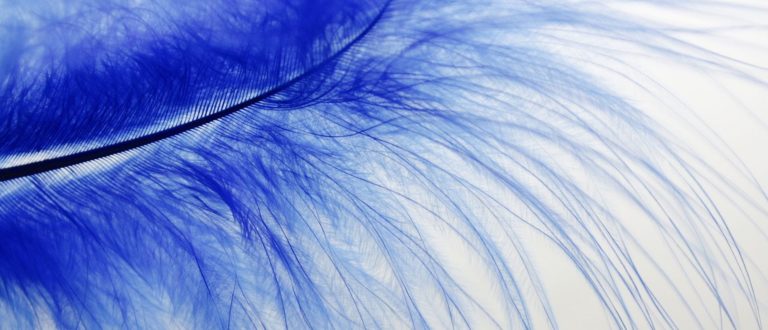 Playgroups for children under 5 | Auckland for Kids