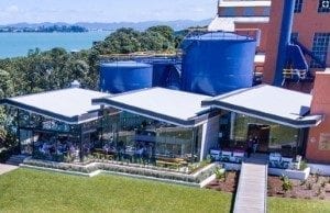 Chelsea Bay sugar factory, cafe & playground day out with kids