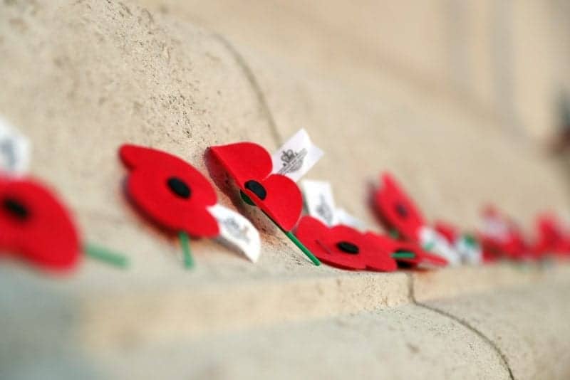 Lay a Digital Poppy Online this Anzac Day | Auckland for Kids