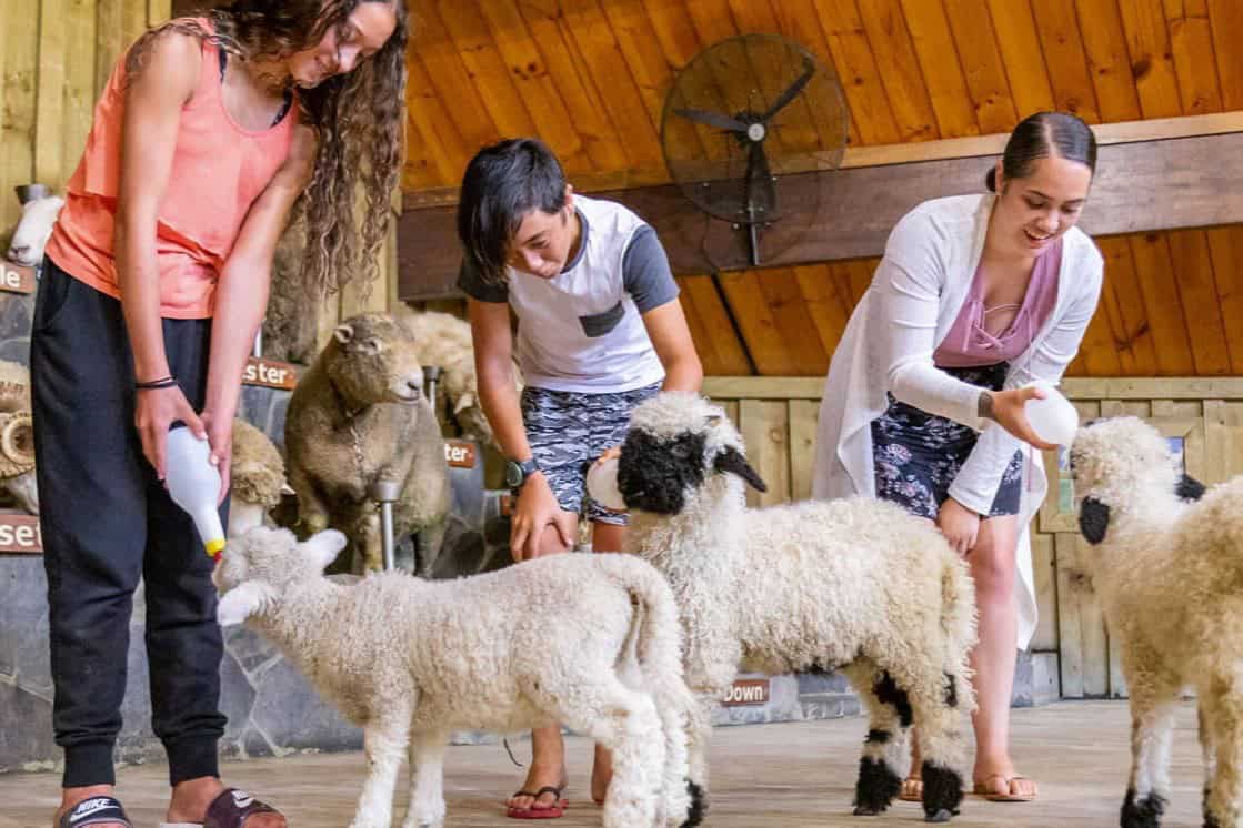 20 of the BEST things to in Rotorua on a family holiday | Auckland for Kids