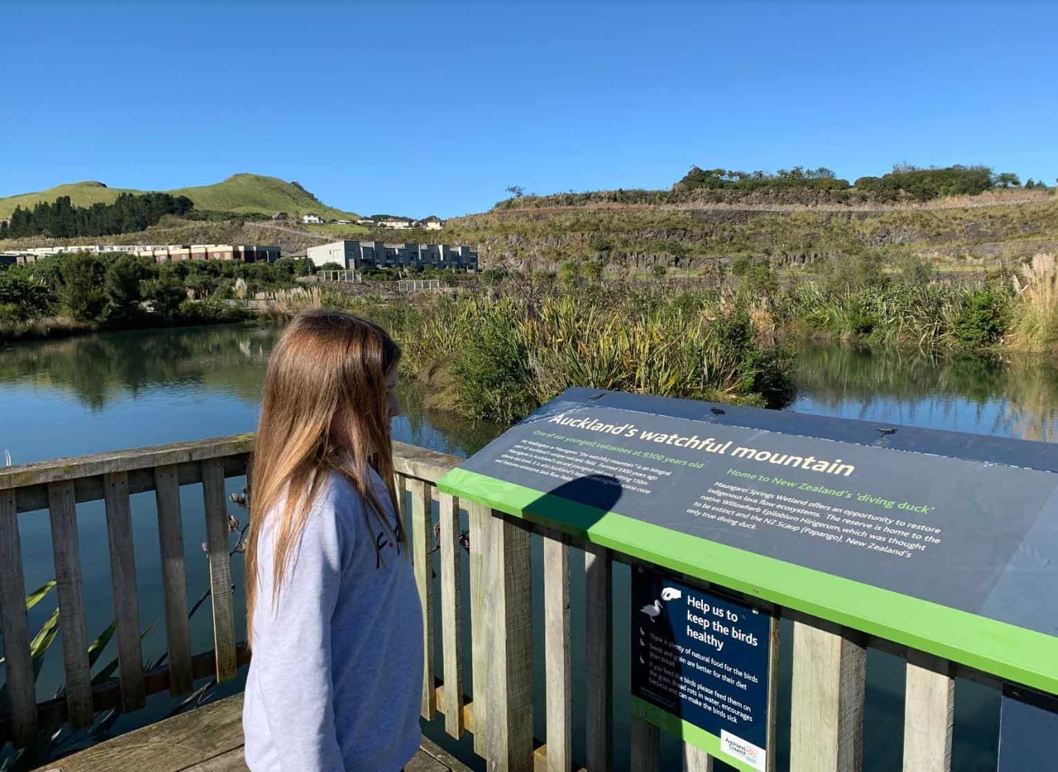 Top things to do on a family day out in Stonefields and St Johns ...