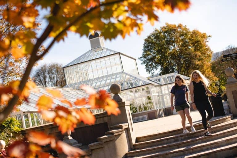 Best 25 Things to do in Dunedin with kids | New Zealand