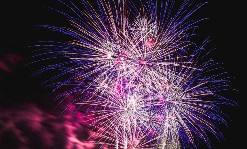 Guy Fawkes Day Fireworks in Auckland, New Zealand | Auckland for Kids