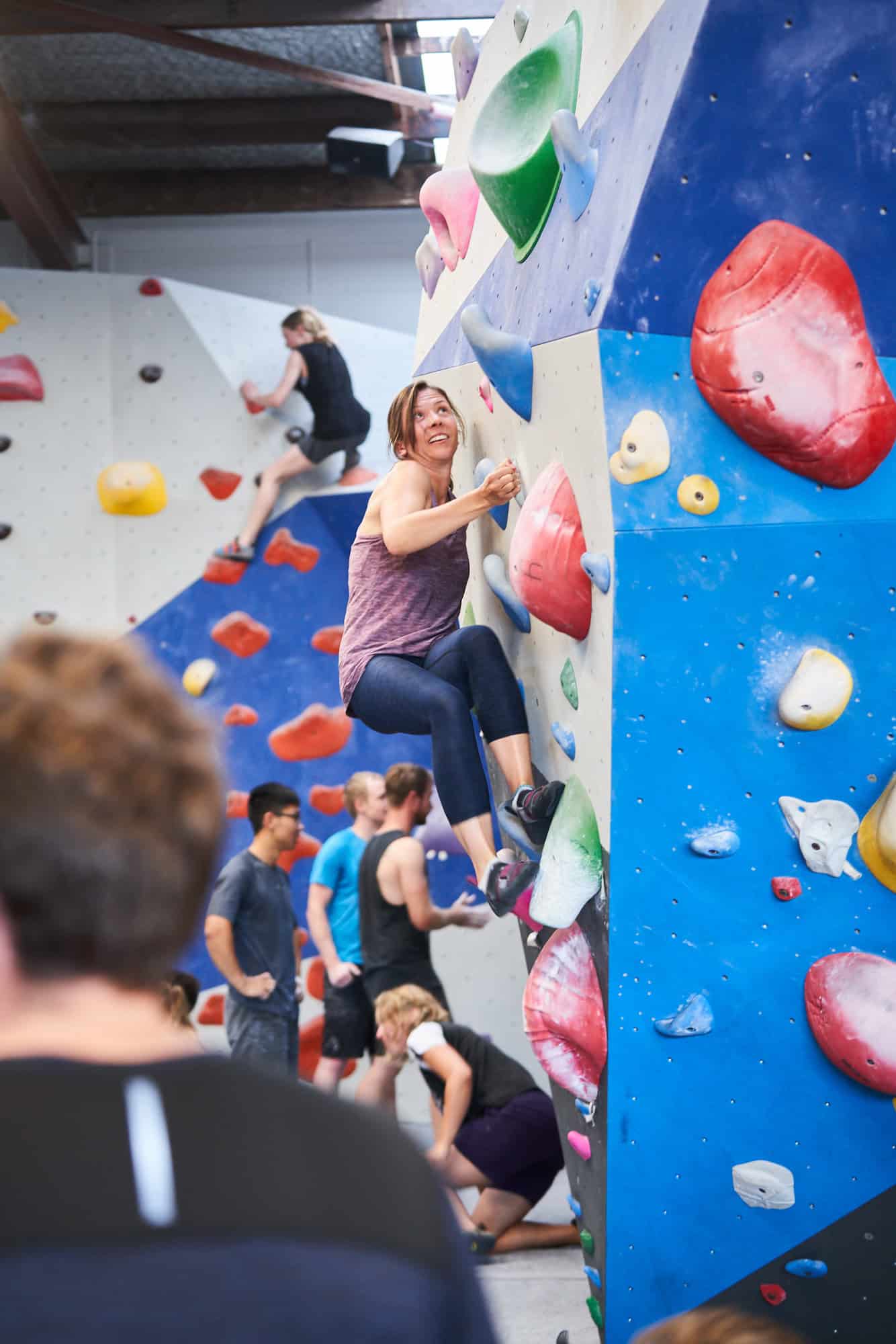 Northern Rocks FREE week for first time climbers | Auckland for Kids