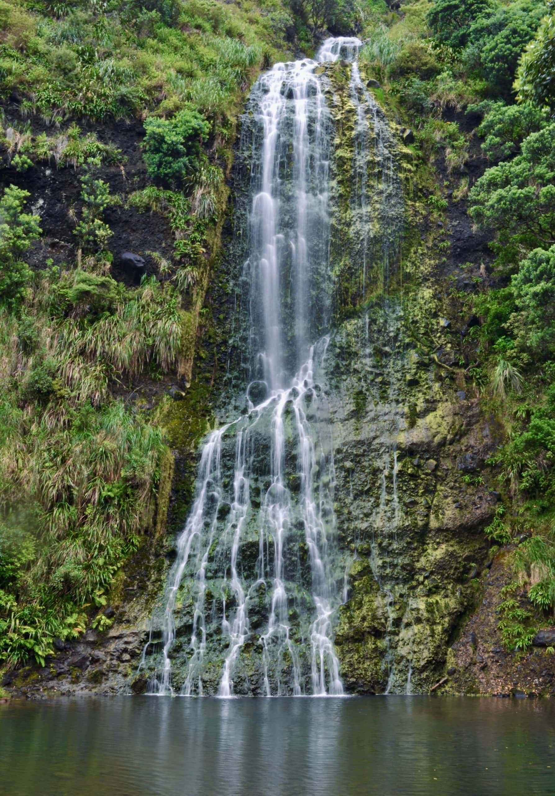 Auckland Waterfalls to Visit | Auckland for Kids