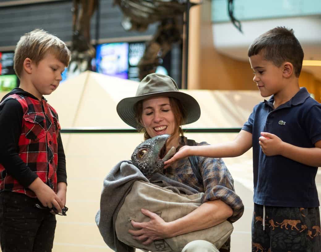 25 BEST things to do in the July school holidays 2022 | Auckland for Kids
