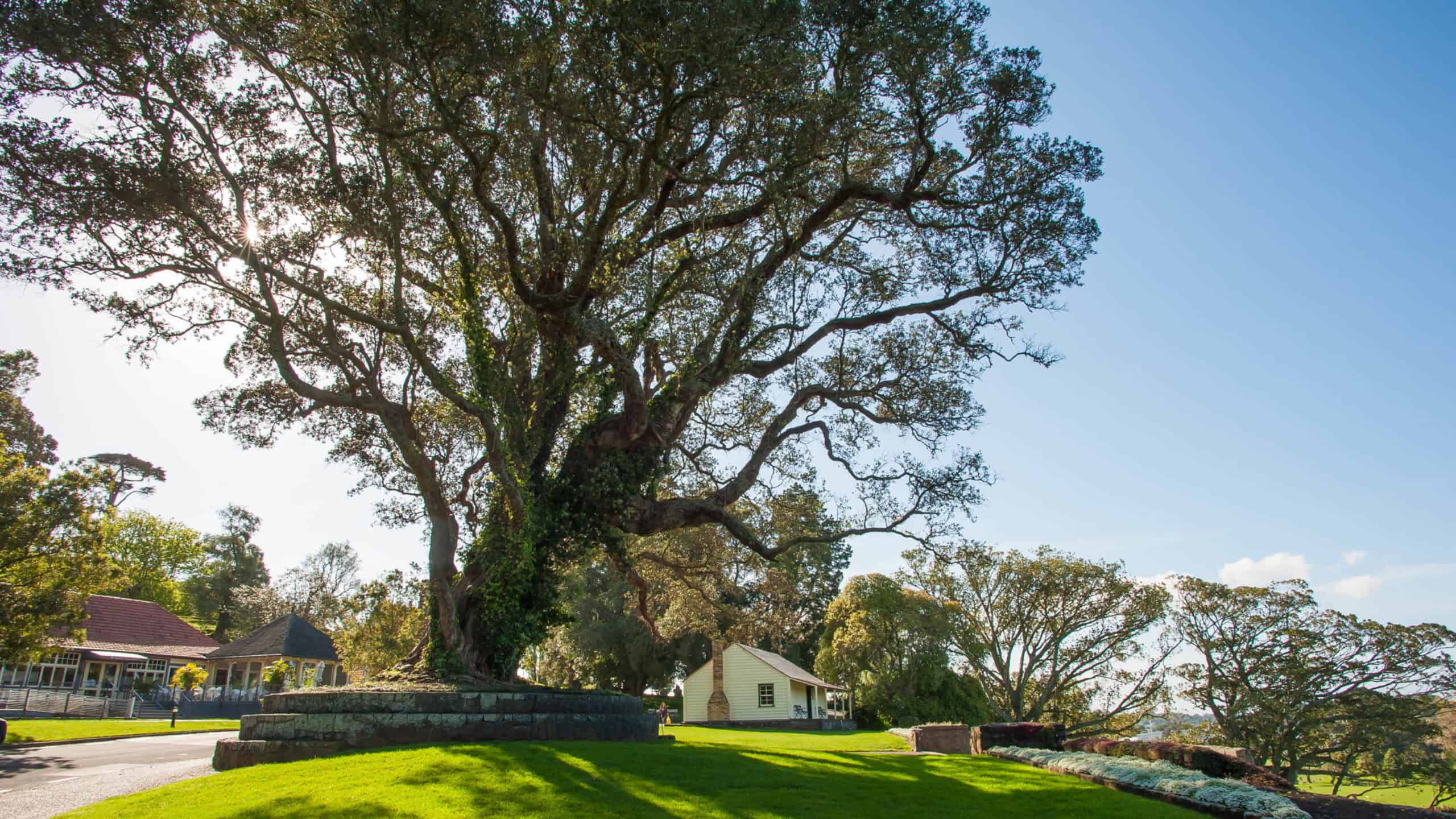 Cornwall Park Holiday Tree Trail | Auckland for Kids