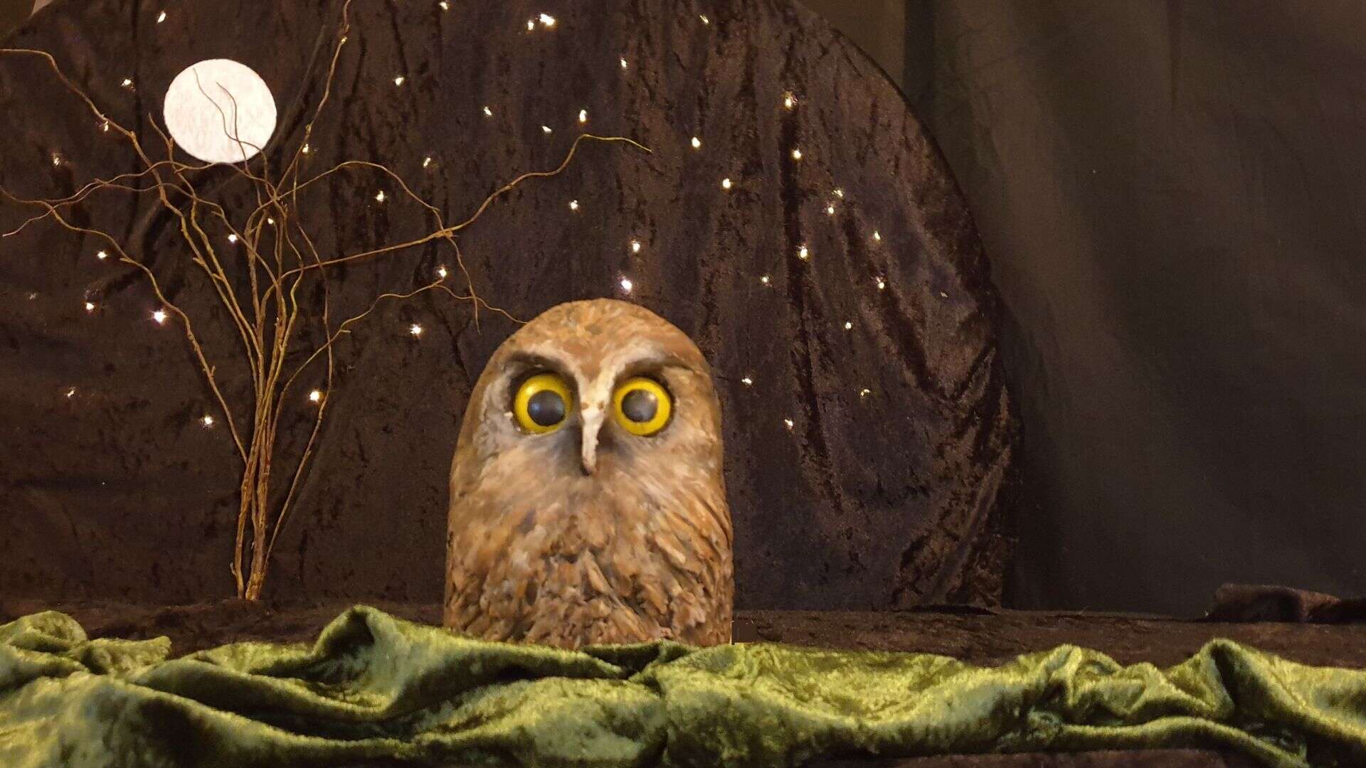 Puppet Show: Box of Birds | Auckland for Kids