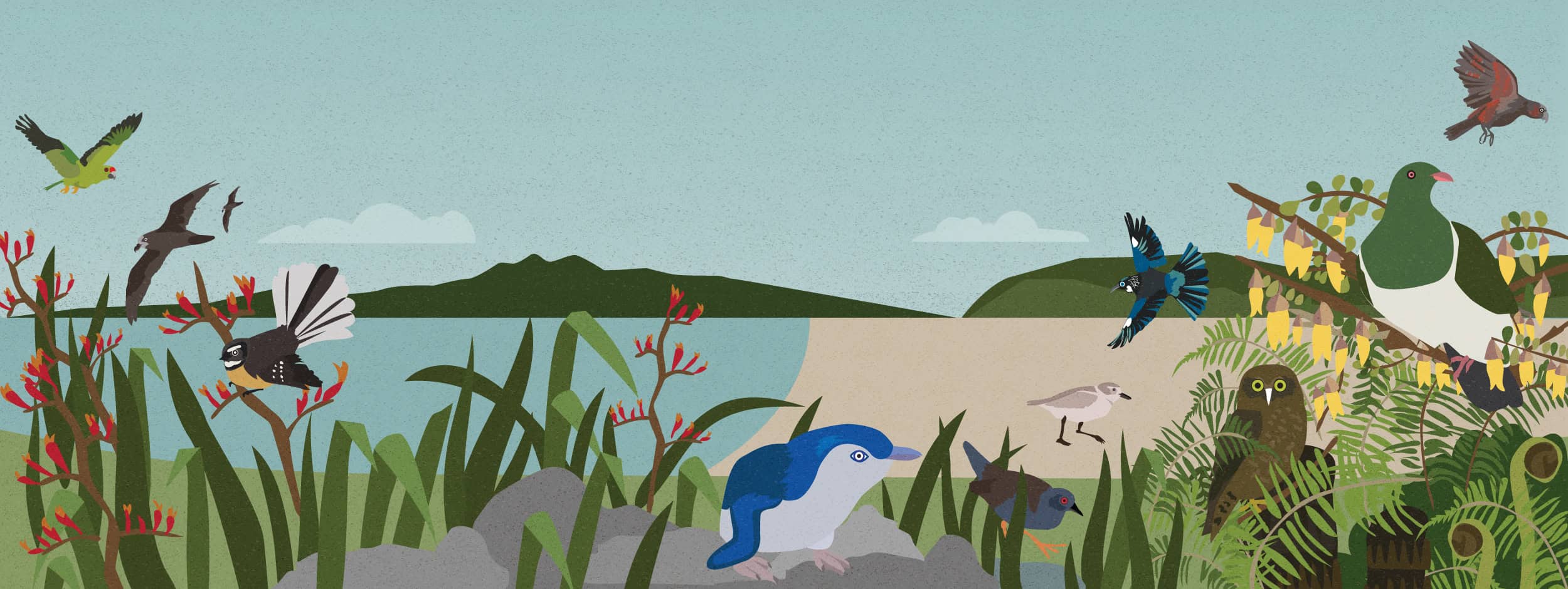 Te Whau peninsula stoat eradication walk with Te Korowai o Waiheke ...