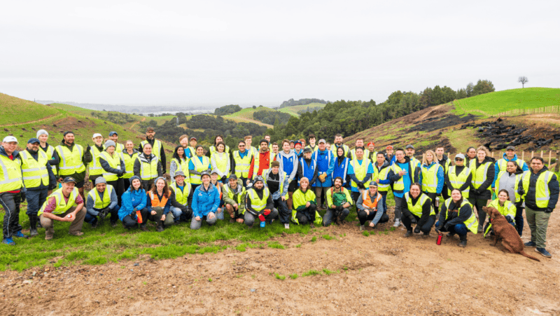 ‘Native Tree Rescue’ Papakura Stream Restoration Project – EcoFest ...