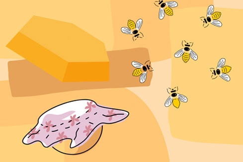 DIY Beeswax Wraps for Kids | Auckland for Kids