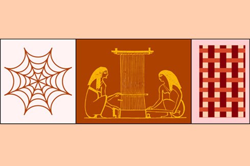 Weaving the Whau - Community Weaving | Auckland for Kids