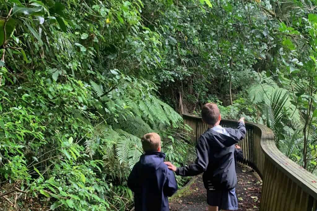 A Weekend Adventure in Whangarei: Unforgettable Family Fun! | Auckland for Kids