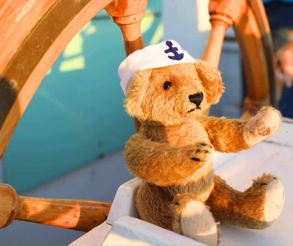 Teddy Bear Picnic Sailing | Auckland for Kids