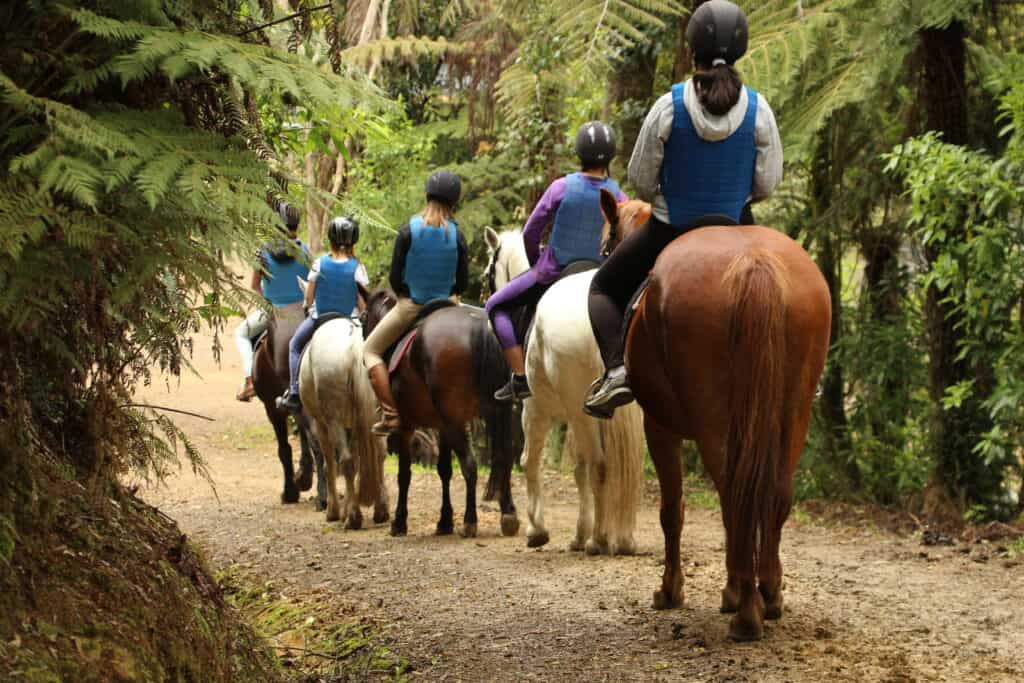 School holiday camps | Auckland for Kids