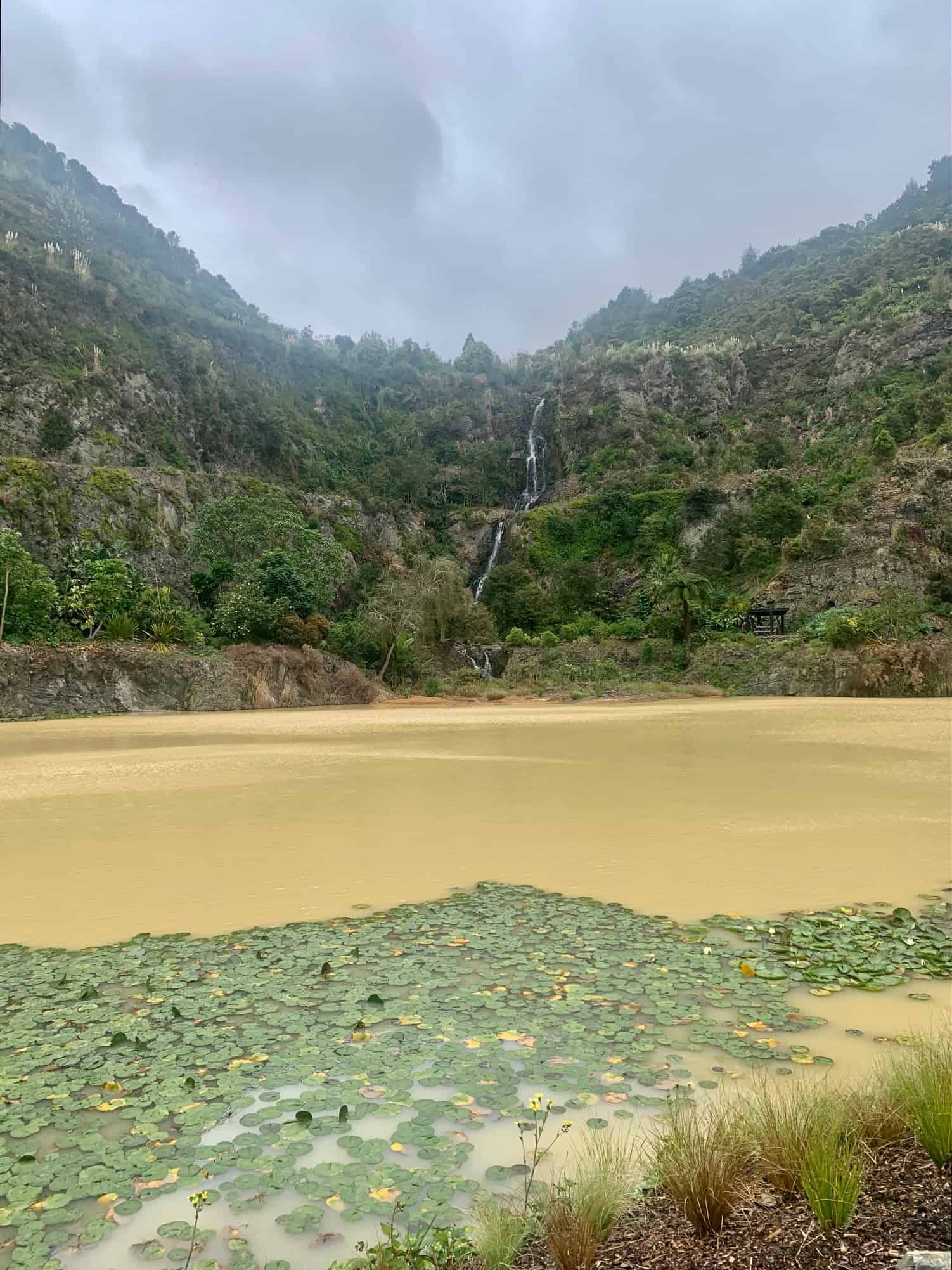 A Weekend Adventure in Whangarei: Unforgettable Family Fun! | Auckland ...