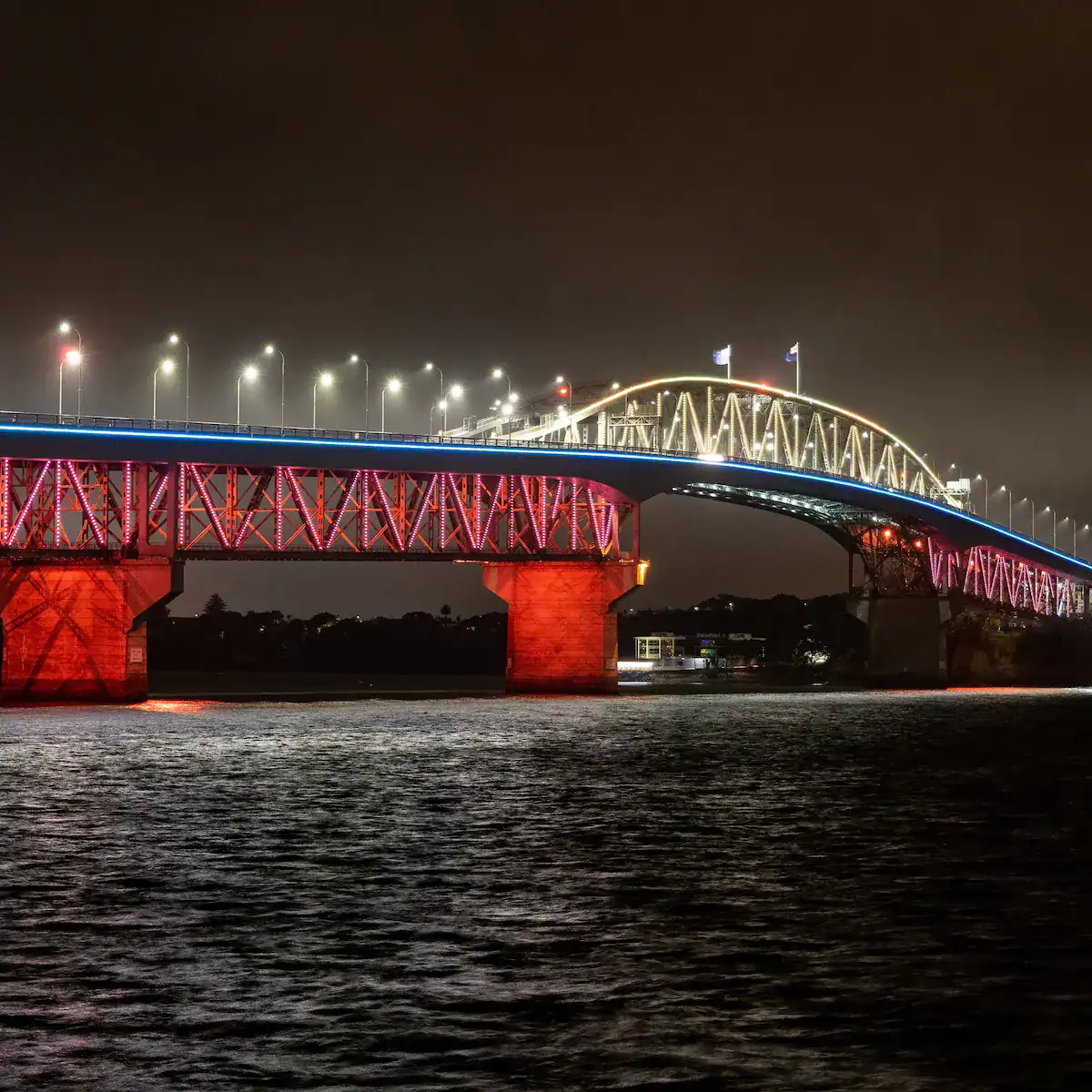 Vector Lights for BNZ Auckland Diwali Festival 2023 | Auckland for Kids