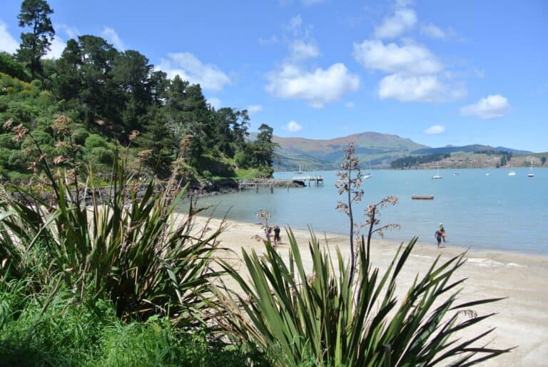 35+ Best Things to Do in Christchurch with Kids – Family Guide 2025