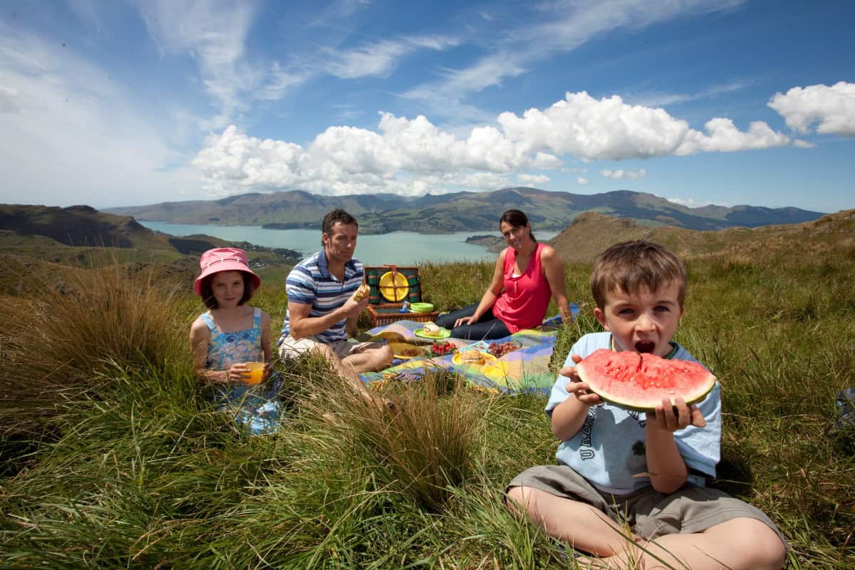 35+ Best Things to Do in Christchurch with Kids – Family Guide 2025