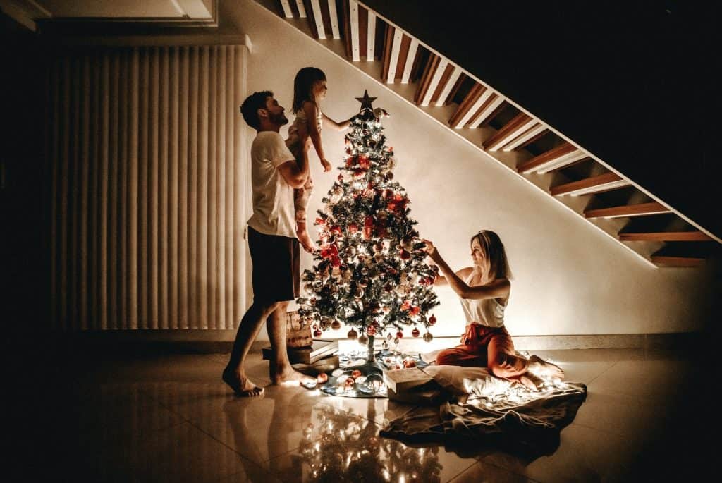 Where to buy a real Christmas tree in Auckland | Auckland for Kids