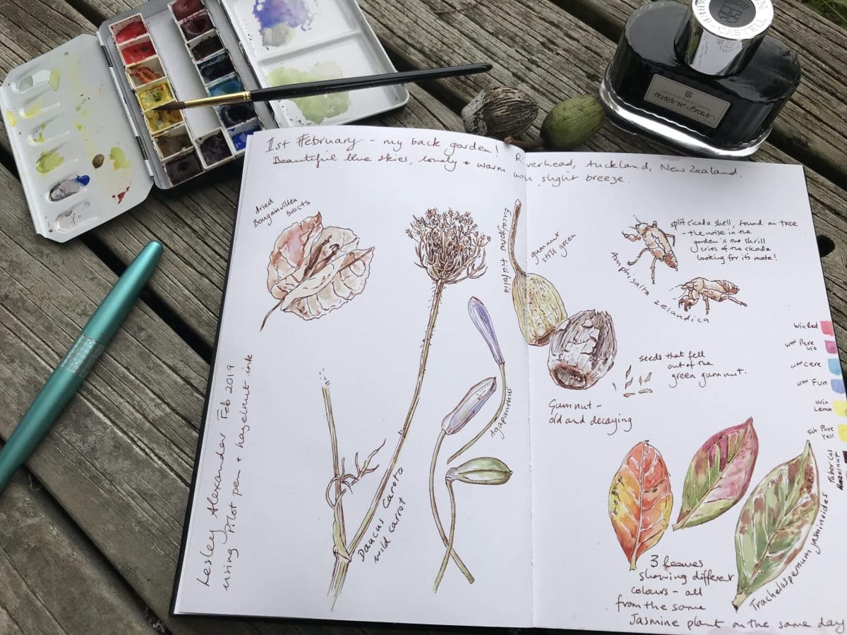 EcoFest: Discover Nature Through Journalling | Auckland for Kids