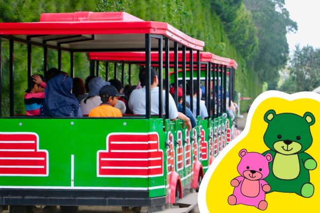 Good Planet Annual Teddy Bear Hunt | Auckland for Kids