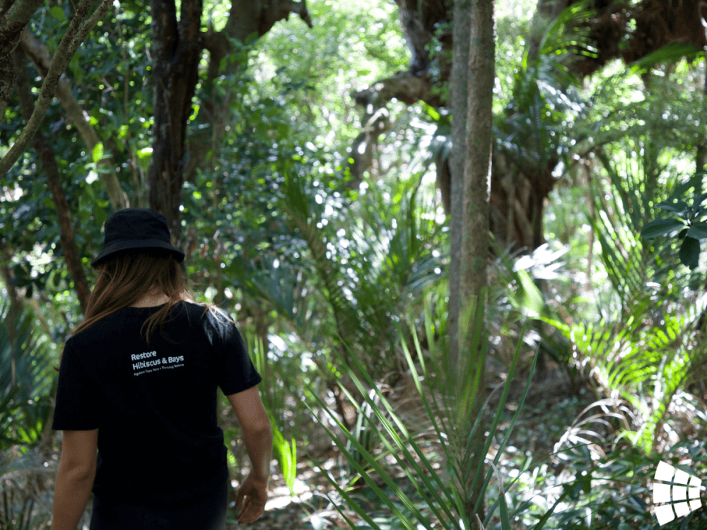 Restore Pacific Parade Coastal Reserve with RHB | Auckland for Kids