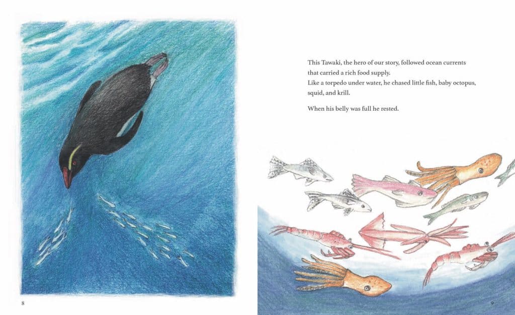 Win Penguins’ Don’t Send Postcards Childrens Book | Auckland for Kids
