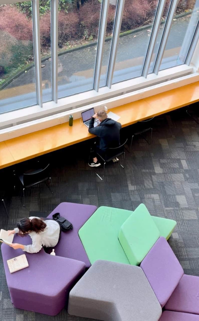 Birkenhead Library: A Local Favourite for Families | Auckland for Kids