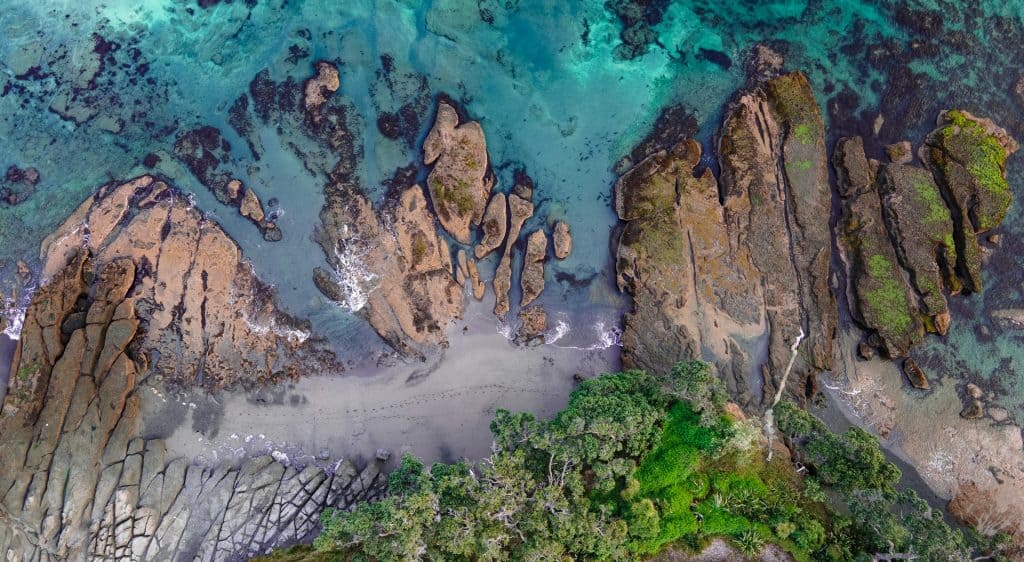 Family Day Out at Goat Island Marine Reserve – Snorkeling & Marine Life ...