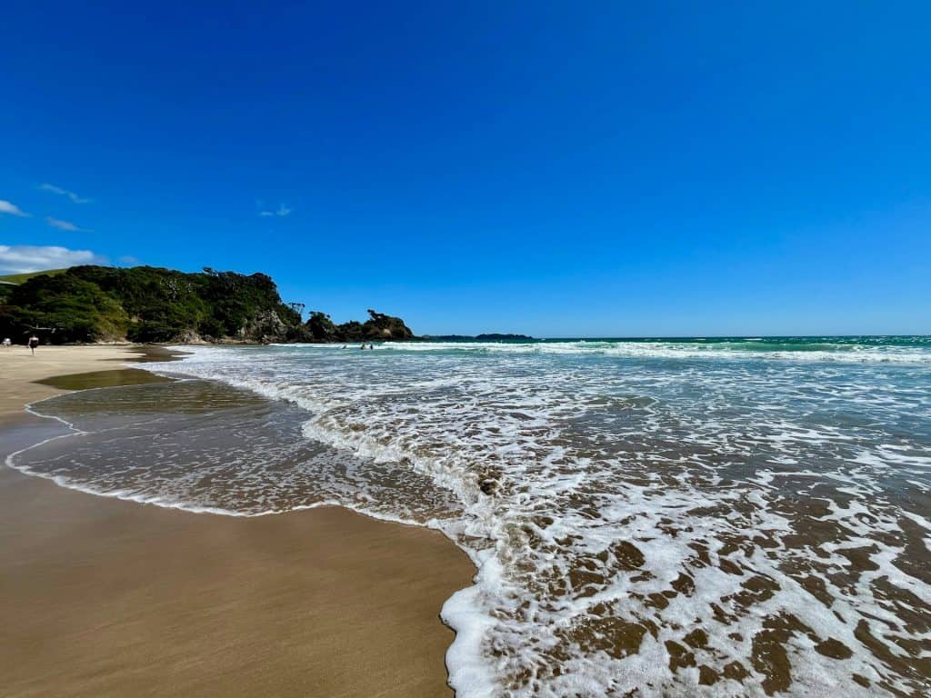 Family Day Out in Paihia, Bay of Islands – Dolphin Watching, Beaches ...