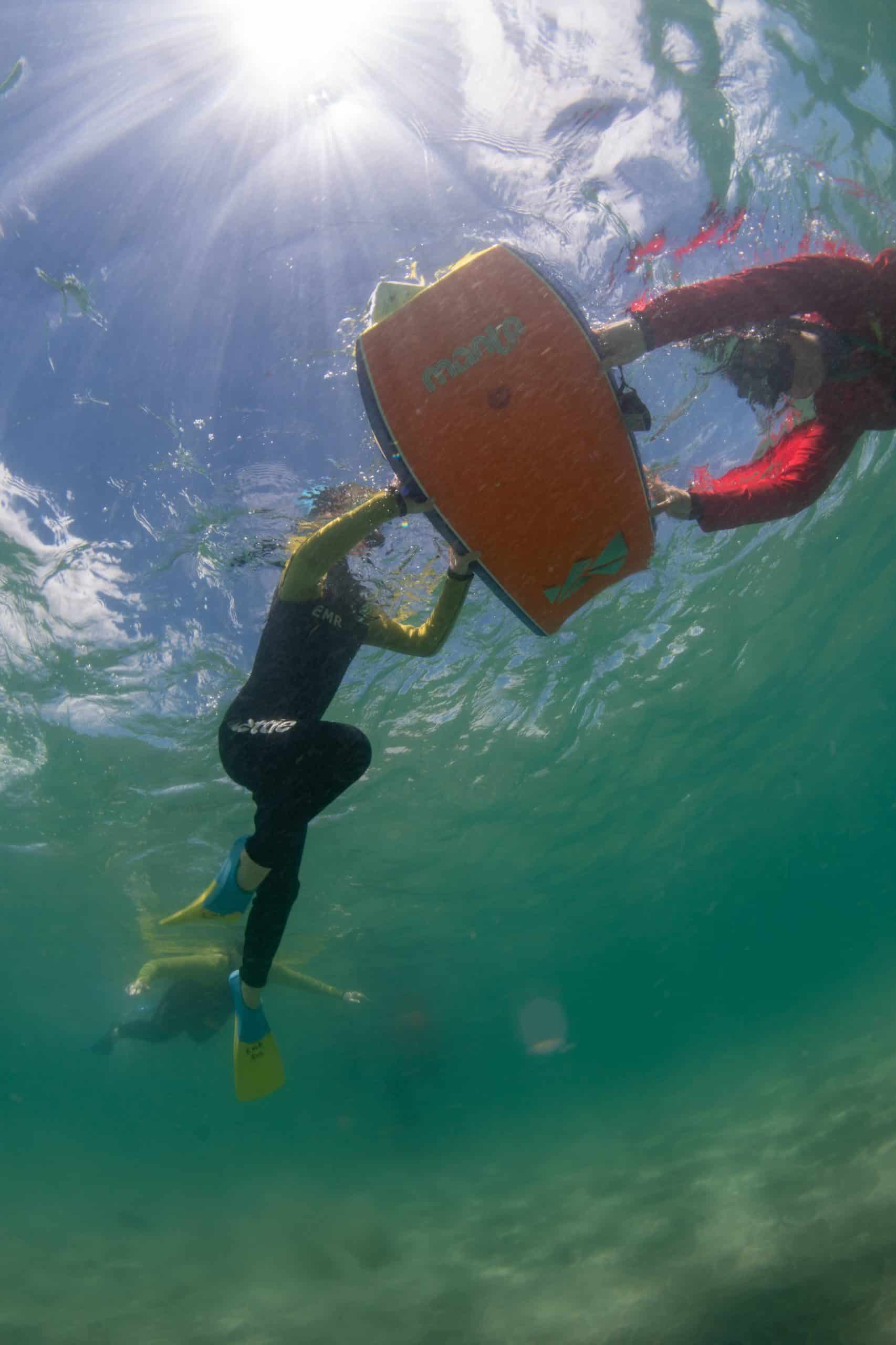 Tāwharanui Snorkel Day 2024 | Auckland for Kids