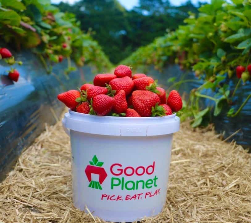 Good Planet PYO Season Pass | Auckland for Kids