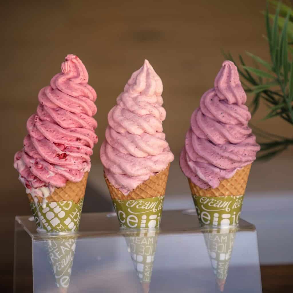 WIN: Good Planet PYO Season Passes! | Auckland for Kids