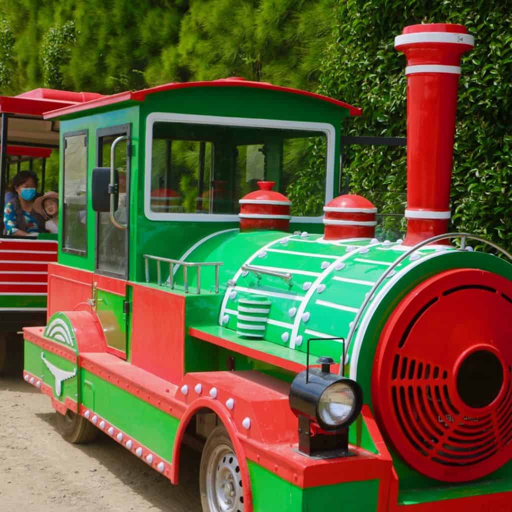 Good Planet | Auckland for Kids