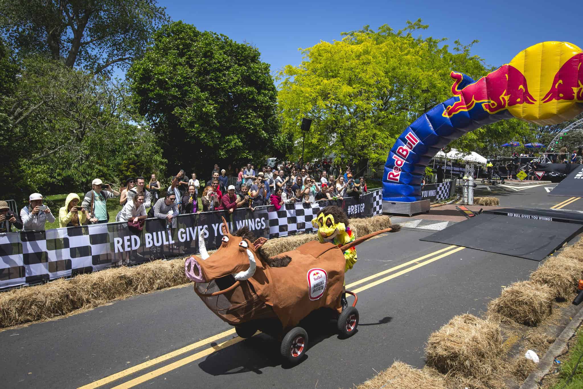 Red Bull Trolley Grand Prix | Auckland for Kids