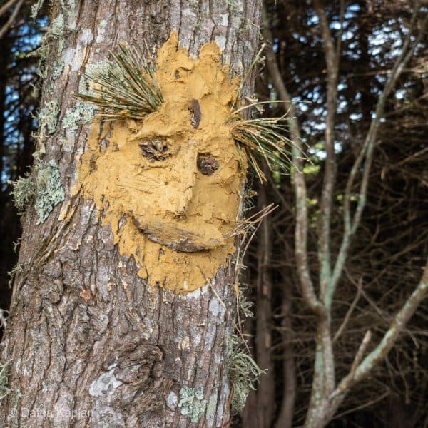 Eco Sculpture Walk & Land Art | Auckland for Kids