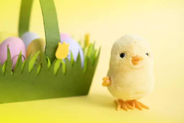 Easter Events in Auckland for Kids | Auckland for Kids