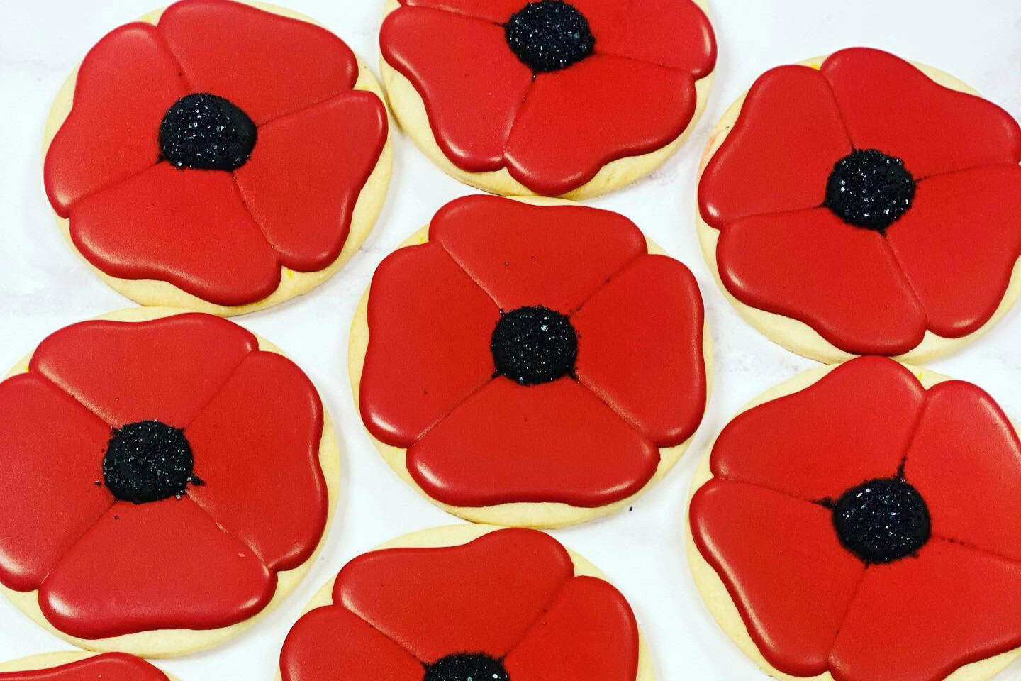 ANZAC Storytime and Crafts | Auckland for Kids