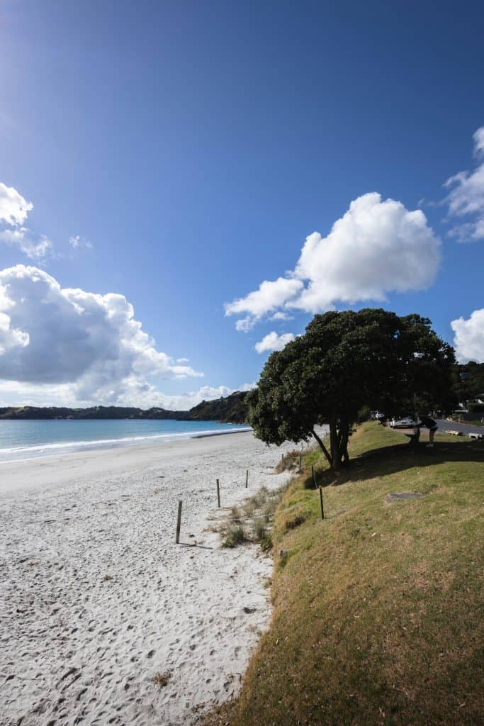 Oneroa Beach with Kids: Waiheke Island Family Day Trip Guide