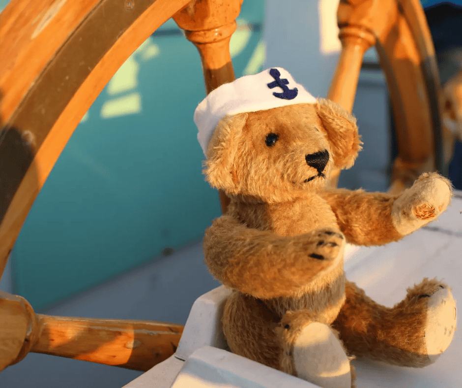 Teds on Ted | Auckland for Kids